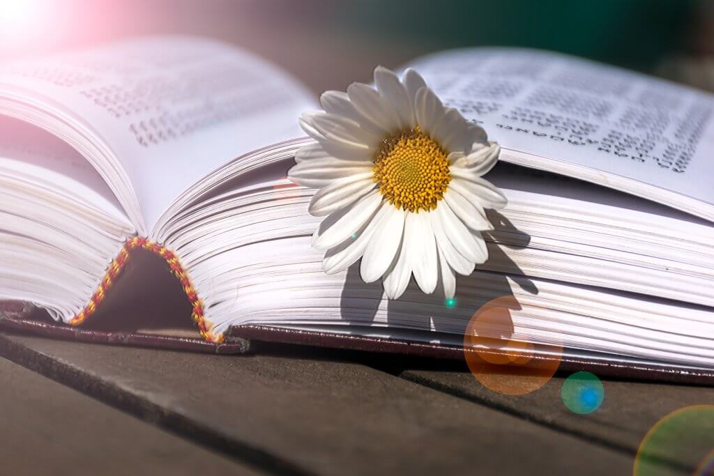 Comment donner du ton à son récit ? - Blog Éditions Vérone